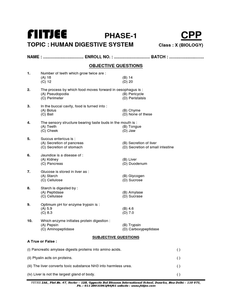 CPP - 10th - Ph-1 - Human Digestive System | PDF | Digestion | Human Digestive System