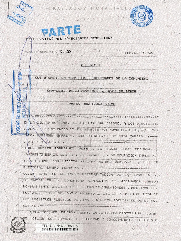 Documento Poder | PDF
