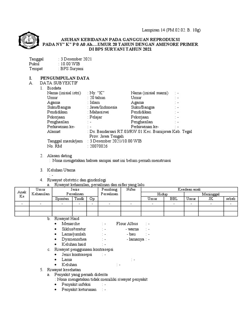 Amenore Primer | PDF