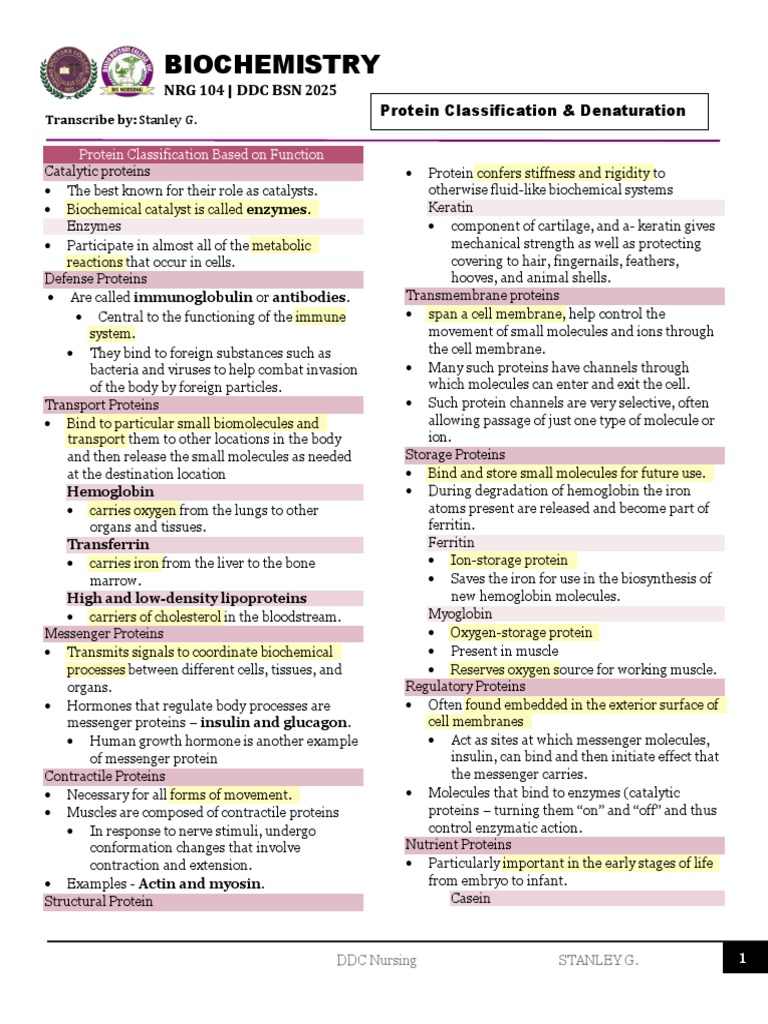 TRANSES Protein Classification and Protein Denaturation - Study Guides ...