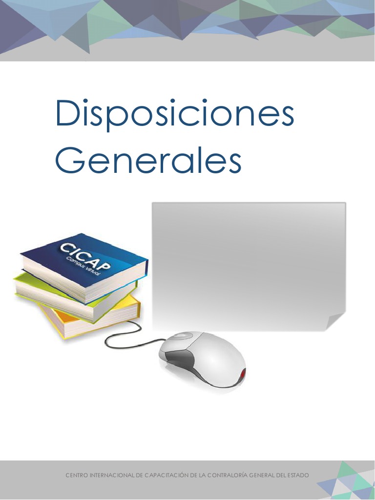 Disposiciones Generales | PDF