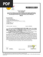Caste Validity Certificate Guidelines | PDF