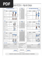 Reba - Hoja de Campo | PDF