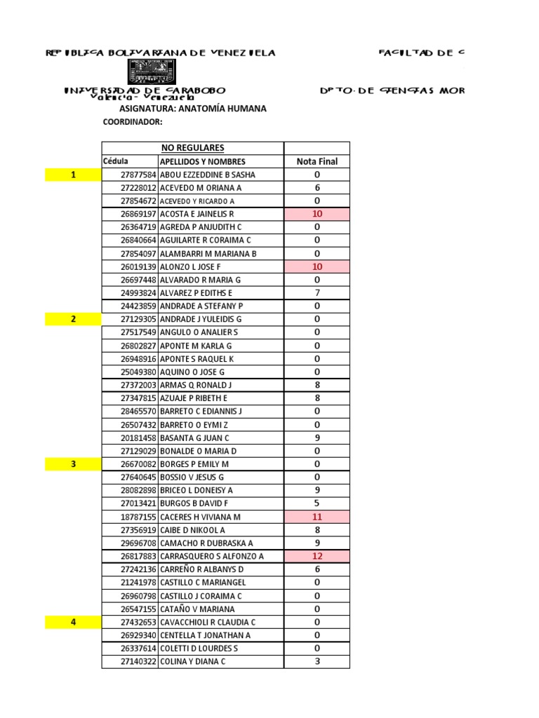 Base Datos Definitiva Anatomía No Regulares FINAL | PDF