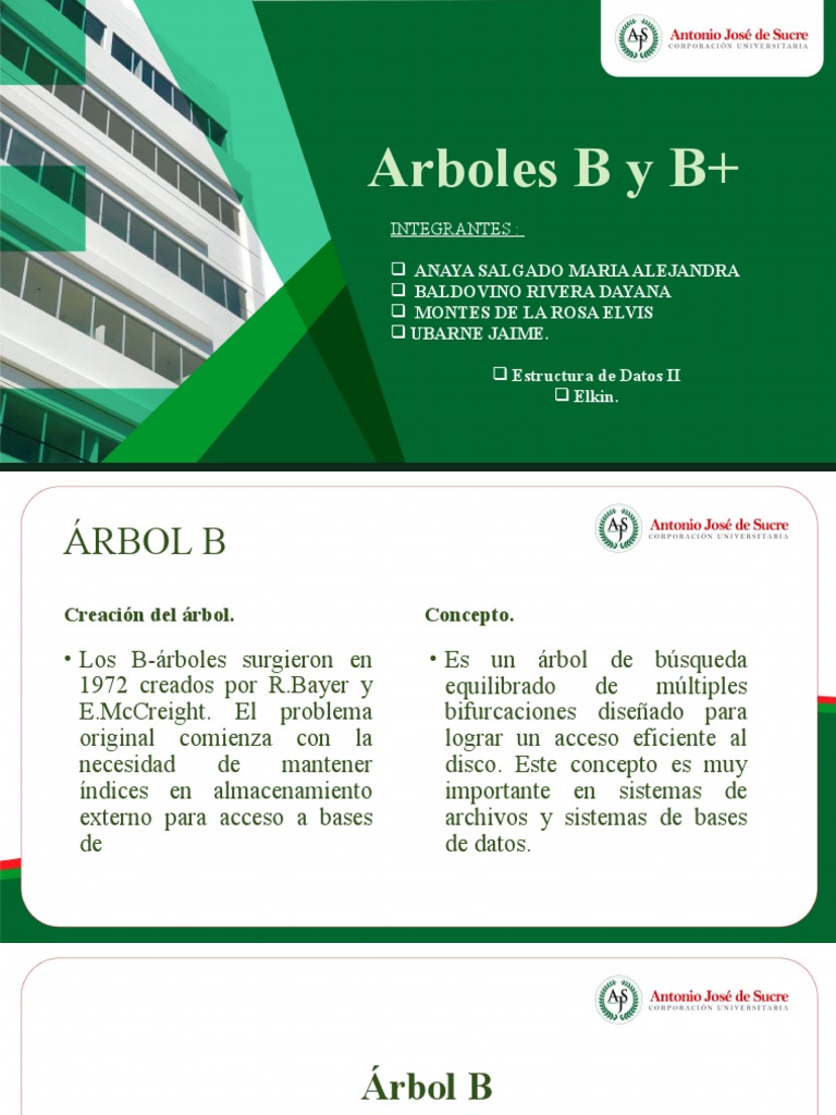 Exposicion Arbol B y B+ | PDF | Ciencias de la Computación ...
