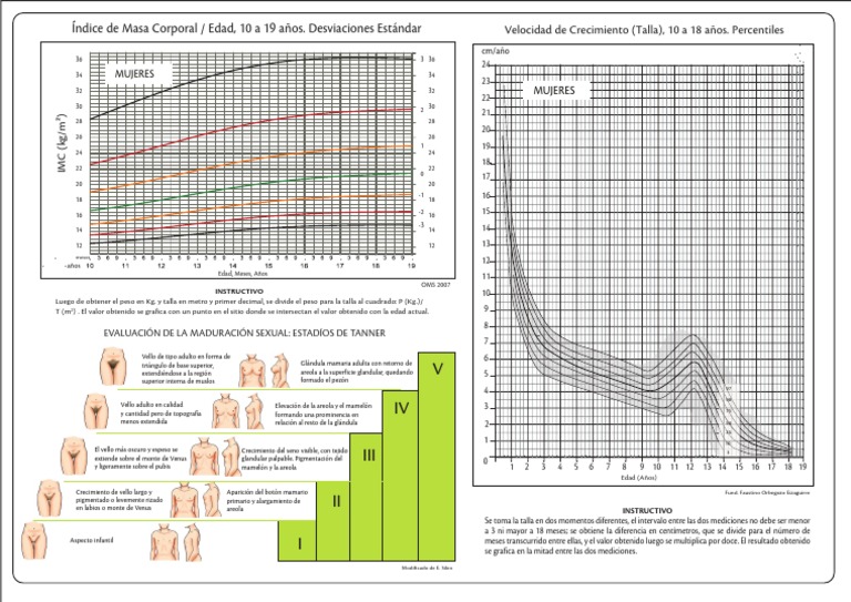 Adolescente Mujer Reverso | PDF | Índice de masa corporal | Adolescencia