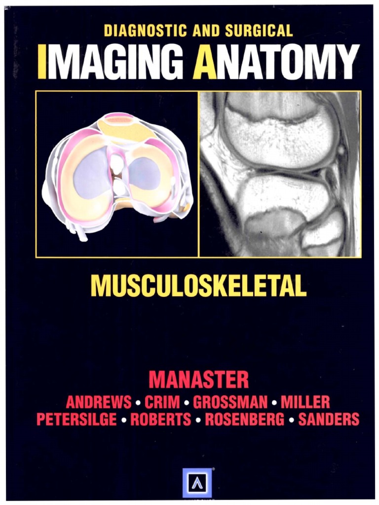 Anatomia Msk Download Free Pdf Shoulder Musculoskeletal System