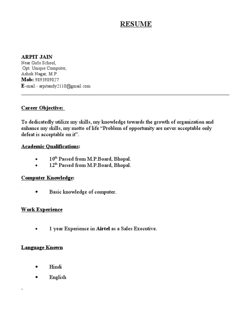 Arpit Jain's Sales Executive Resume | PDF
