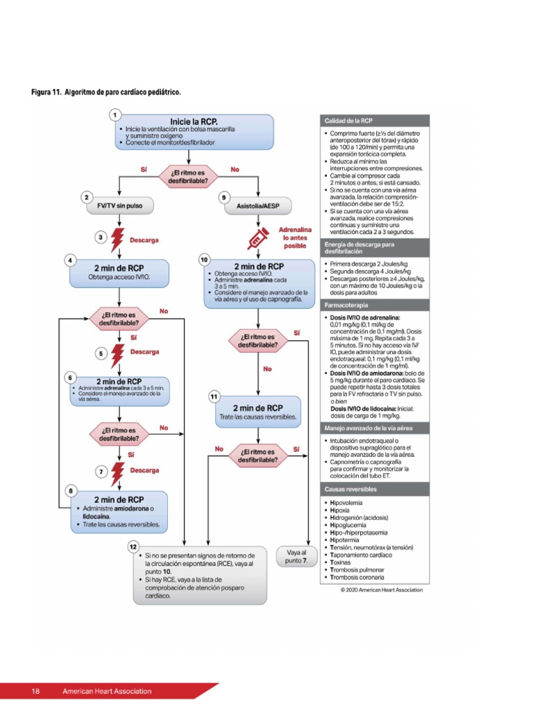 Algoritmo RCP Pediatrico | PDF