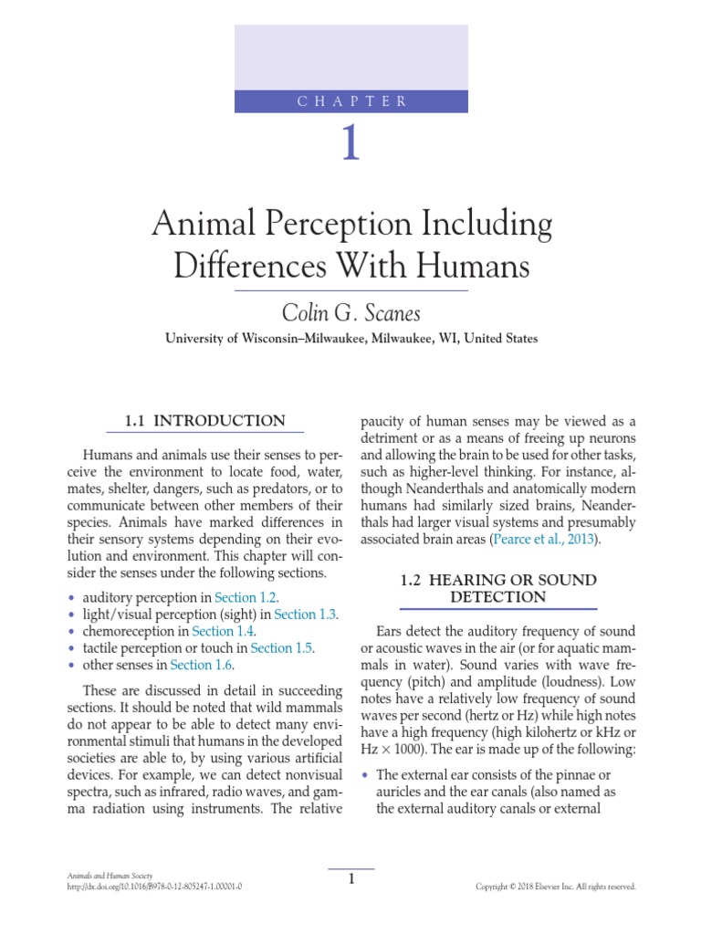 Animal Perception | PDF | Ear | Taste