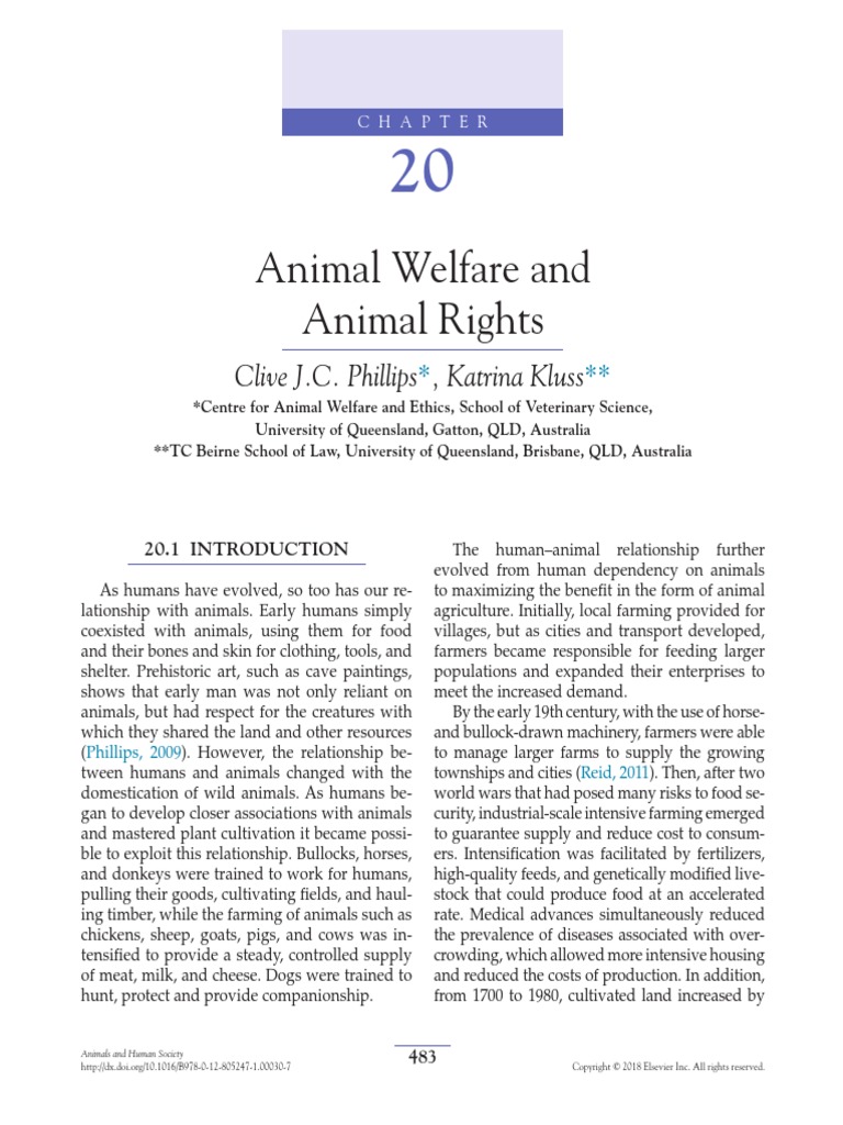 Animal Right | PDF | Animal Welfare | Animal Rights
