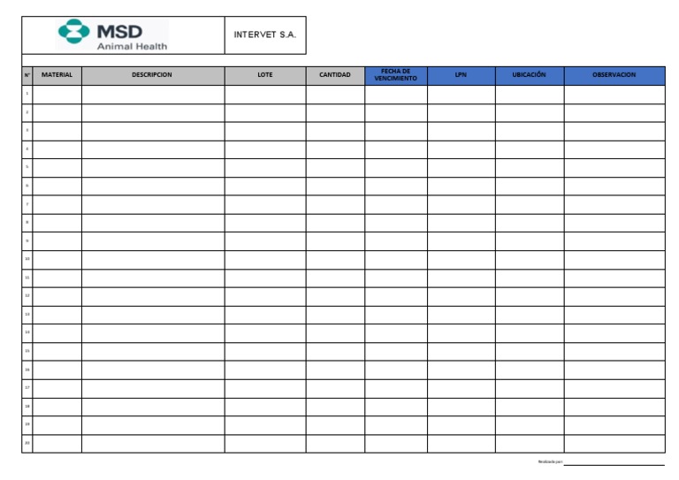 Formato para Ingresar Wms | PDF