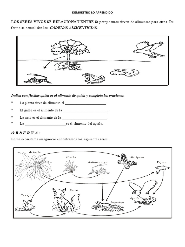 Ficha 2 Sobre Relaciones de Un Ecosistema | PDF