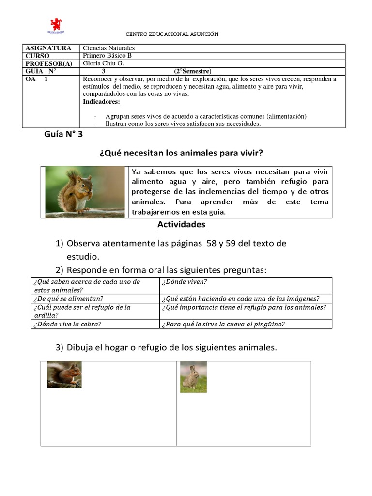 Necesidades básicas de los animales | PDF | Organismos