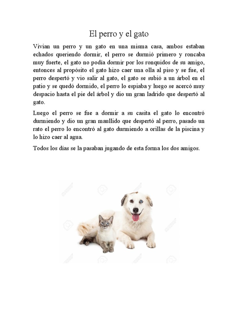 Cuento infantil: El perro y el gato | PDF | Gatos | Oveja
