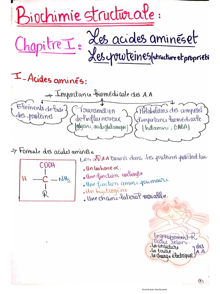 Resume Biochimie Structurale | PDF