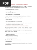Anatomía de las Regiones Faciales | PDF | Anatomía humana | Anatomía