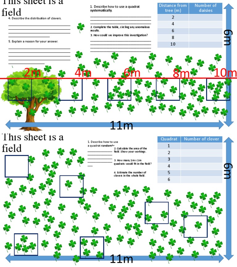 2m 4m 6m 10m 8m: Systematically | PDF | Statistics | Scientific Method