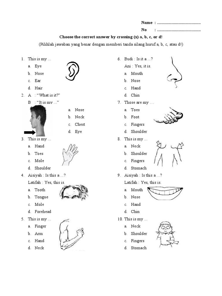 body-parts-worksheet_27256 | PDF | Human Anatomy