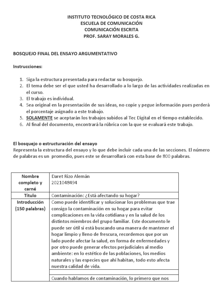 Instrucciones y Evaluación Del Bosquejo Del Ensayo Argumentativo | PDF ...