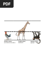 Rhyming Bag Activity Guide | PDF
