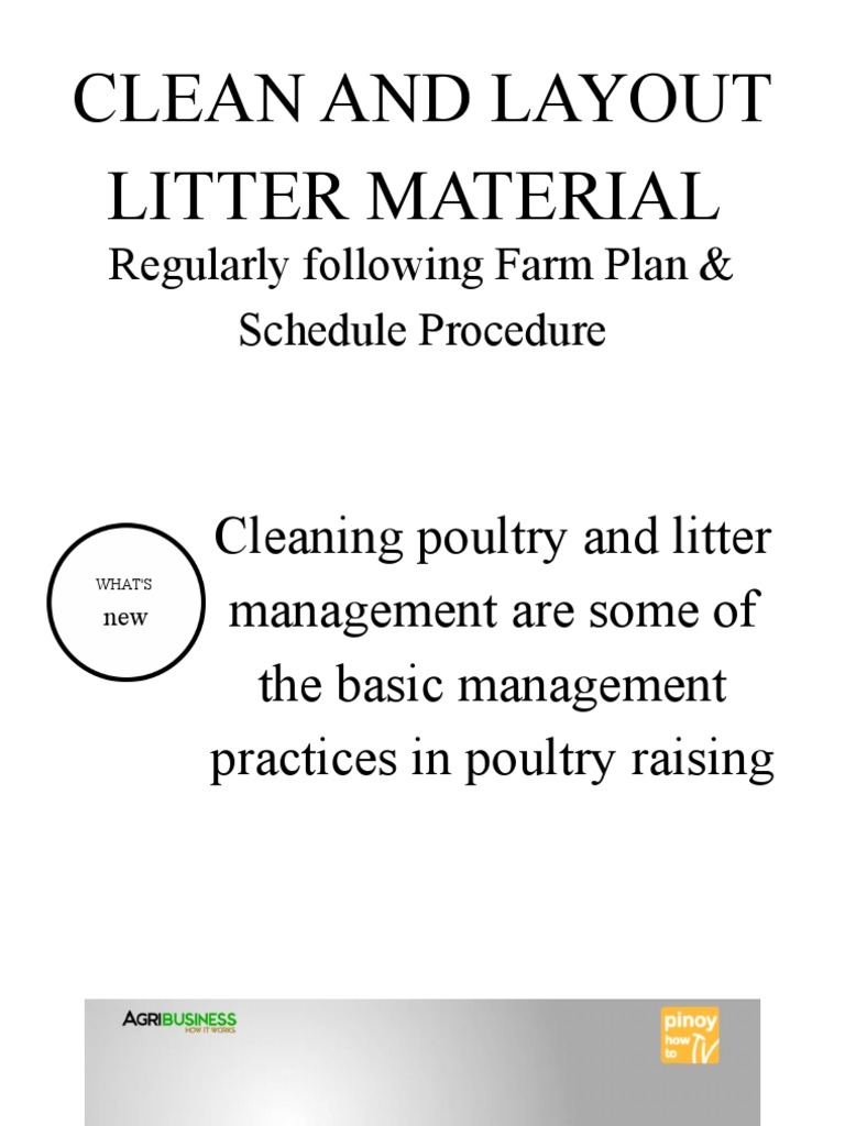 Clean and Layout Litter Material: Regularly Following Farm Plan ...