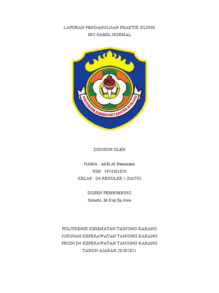 LP Ibu Hamil Normal | PDF