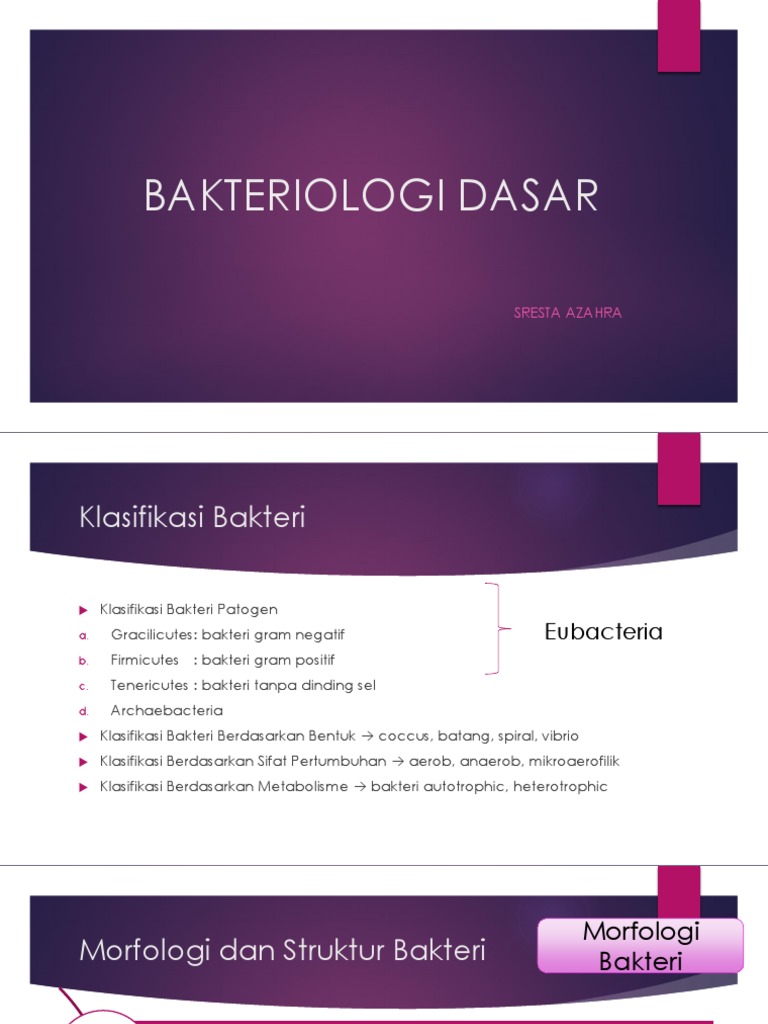 Bakteriologi Dasar | PDF