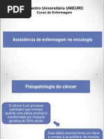 Guia Simplificado de Aplicação Do Índice de Vulnerabilidade Clínico ...