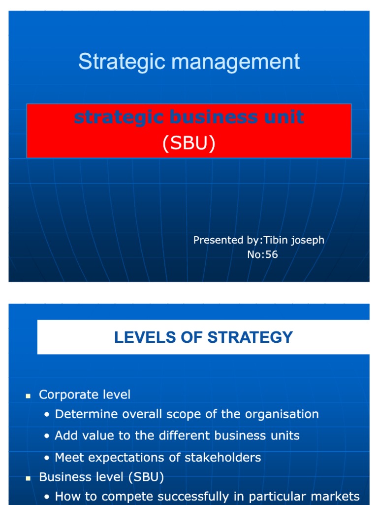 Strategic Business Unit | PDF