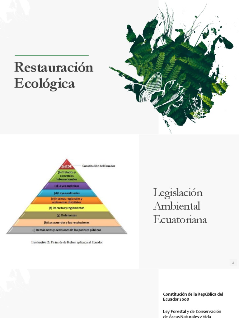 Restauración Ecológica - Intro Planes | PDF | Ecosistema | Ecología