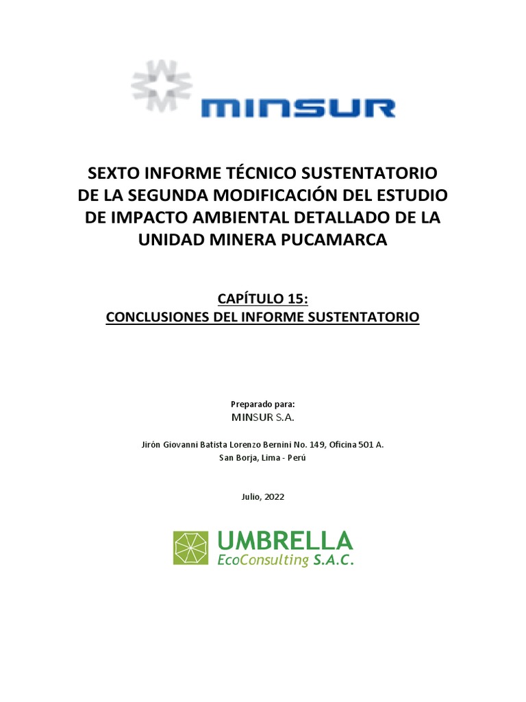 Informe Minsur Pucamarca | PDF | Evaluación de impacto ambiental | Entorno natural
