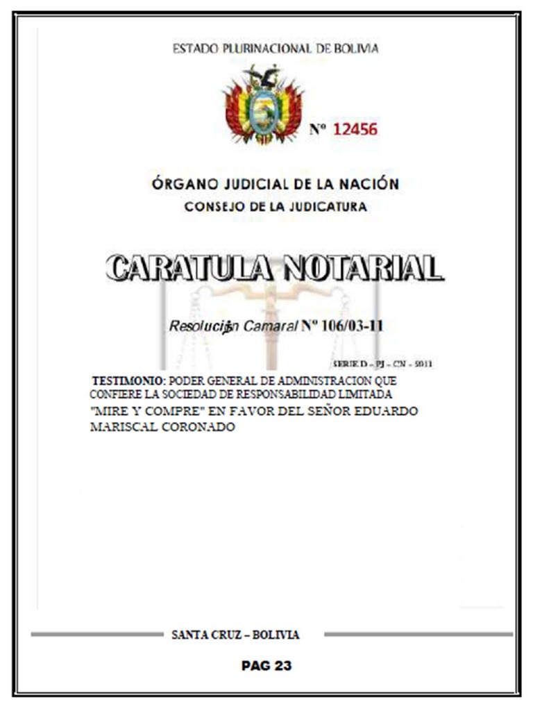 Poder Notarial para Representación Legal | PDF | Bancos | Economias