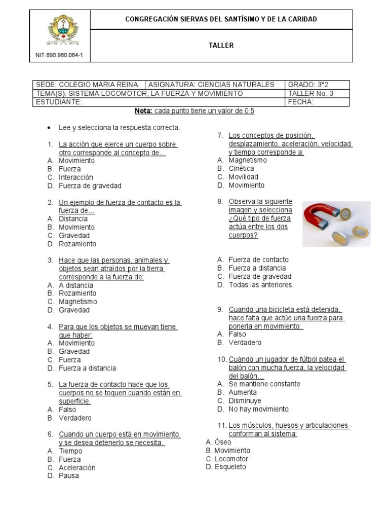 TALLER 3 FUERZA Y MOVIMIENTO - Naturales - 1 | PDF | Fuerza | Músculo ...