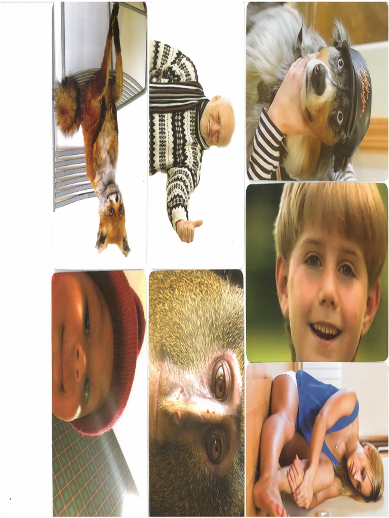 What Do You Meme (Elliot Tebele, Ben Kaplan) | PDF