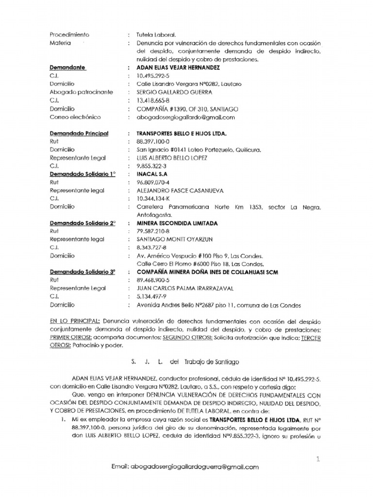 Demanda Adan Vejar 200 Solo | PDF