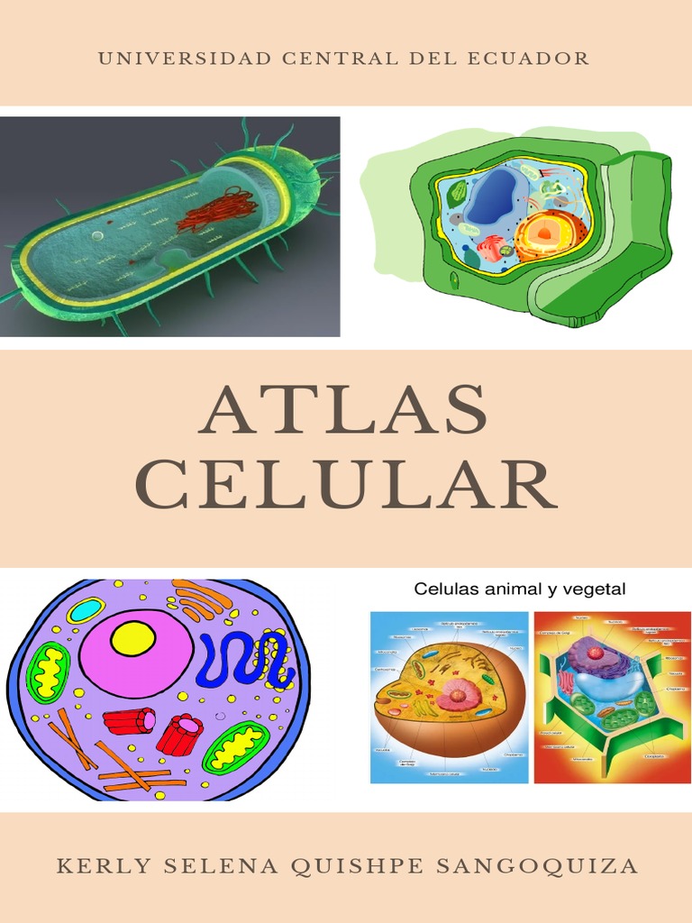 Atlas Celular. | PDF | Morfología (biología) | Zoología