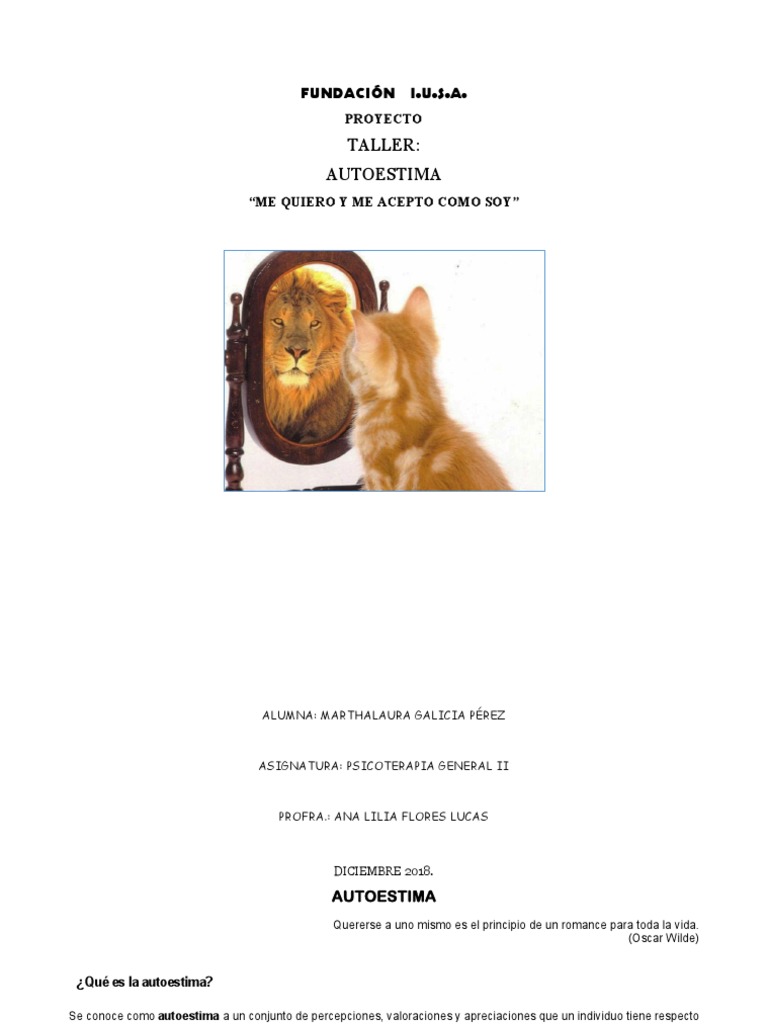 AUTOESTIMA | PDF | Autoestima | Aprendizaje