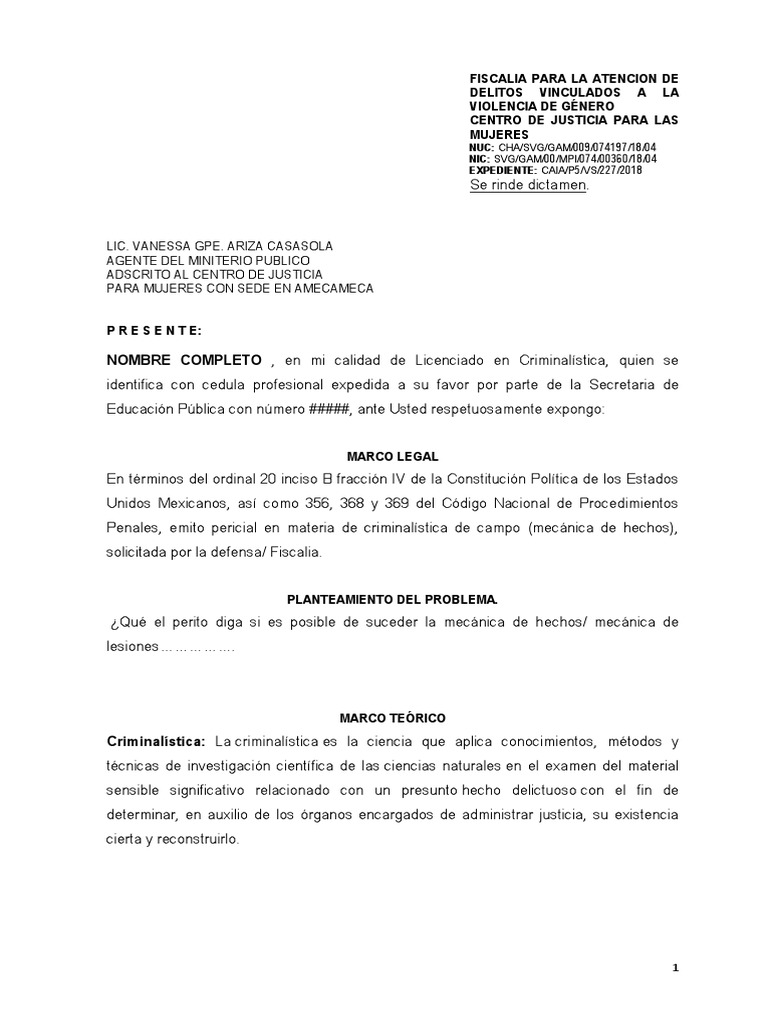 Estructura de Dictamen. | PDF | Ciencia forense | Evidencia