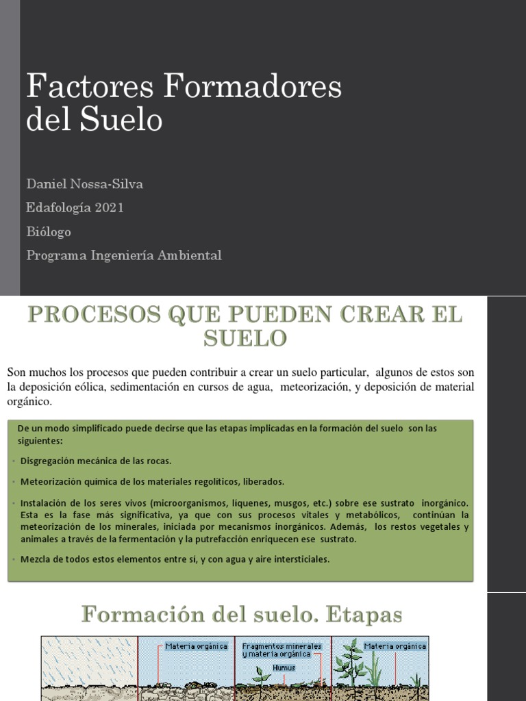 Factores Formadores Del Suelo | PDF | Suelo | Roca (geología)