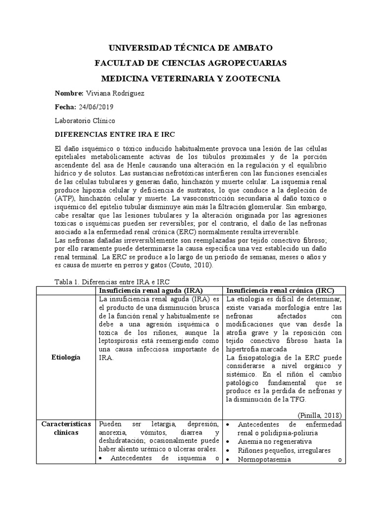Insuficiencia Renal Aguda (IRA) e Insuficiencia Renal Crónica (IRC) | PDF | Isquemia | Riñón