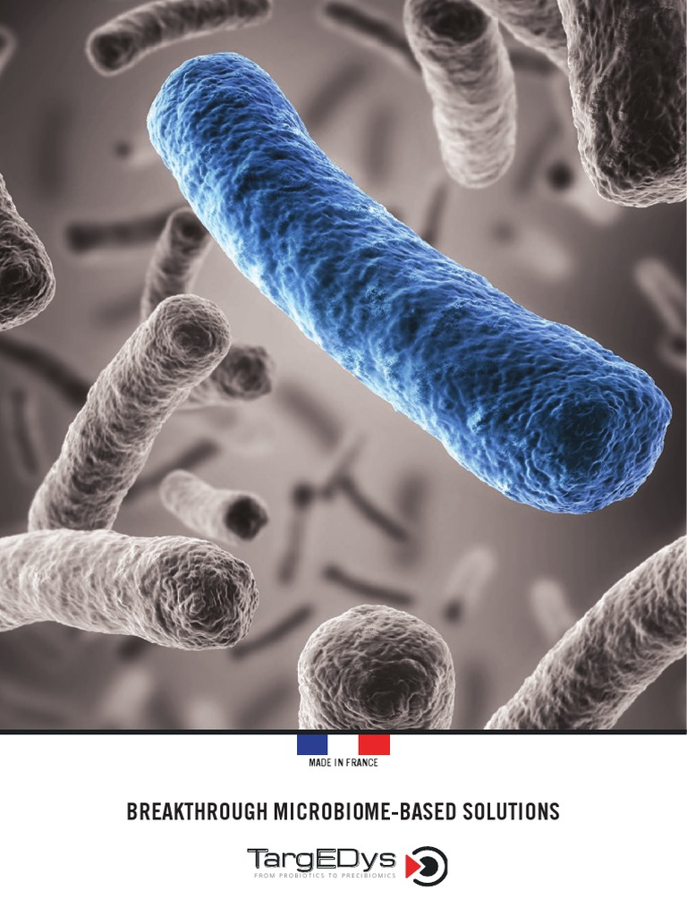 Brochure Corpo Targedys | PDF | Insulin Like Growth Factor 1 | Biology