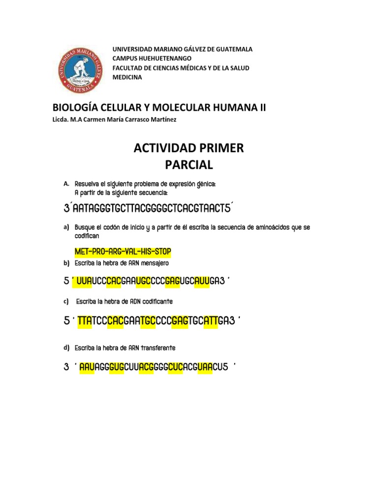 Actividad Primer Parcial 2022 | PDF