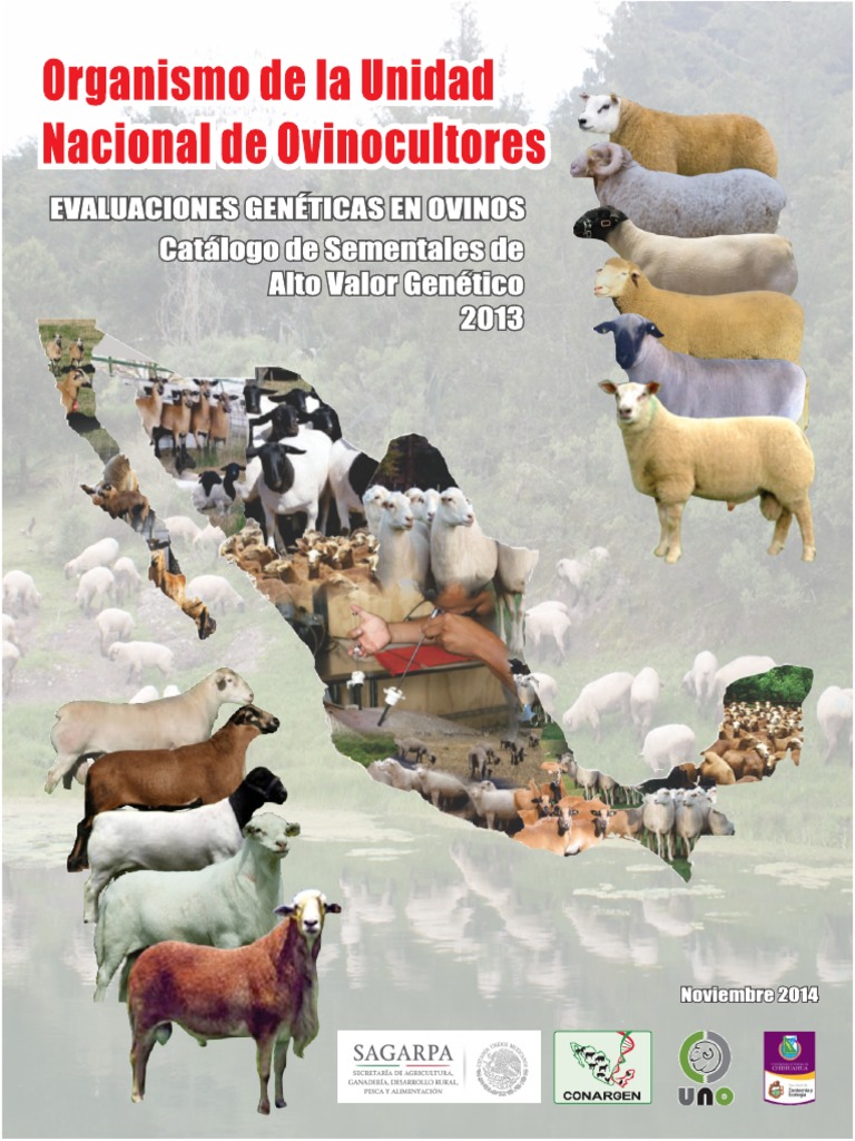 2014 Ovinos 11 Razas | PDF | Oveja