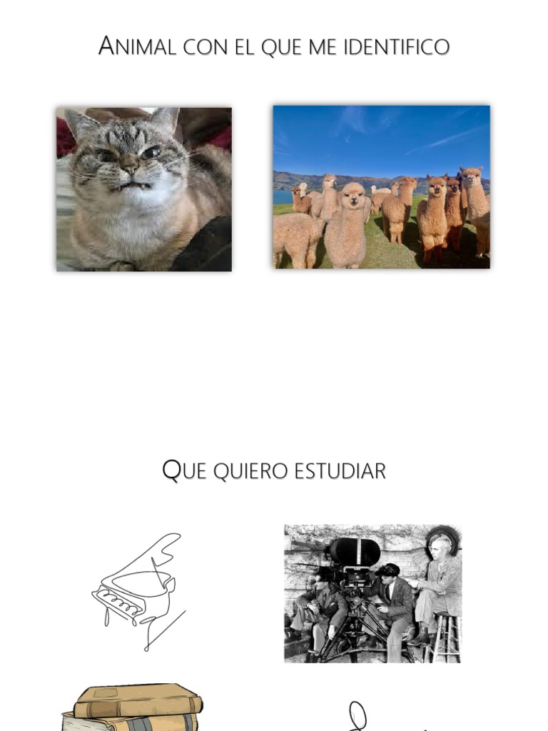 Animal Con El Que Me Identifico | PDF