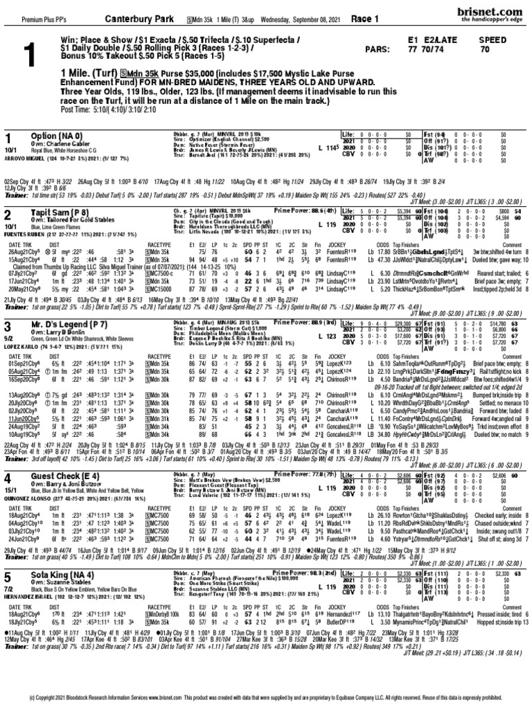 1 Mile Turf Download Free PDF Animal Racing Horses