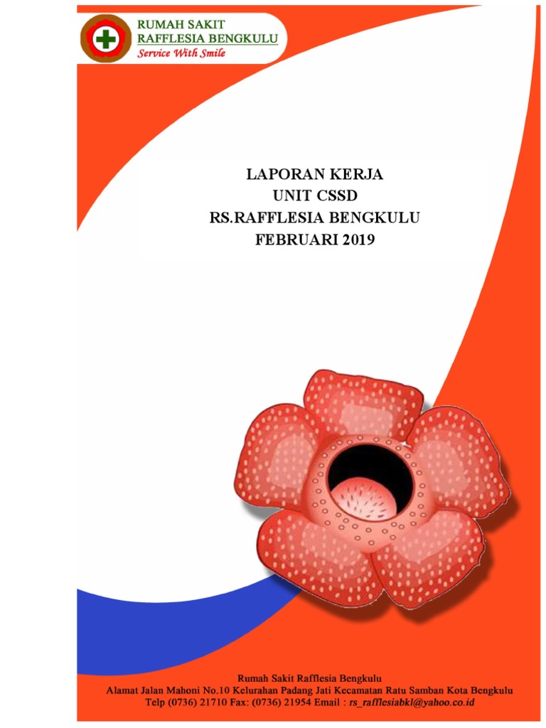 LAPORAN BULANAN CSSD Februari 2019 | PDF