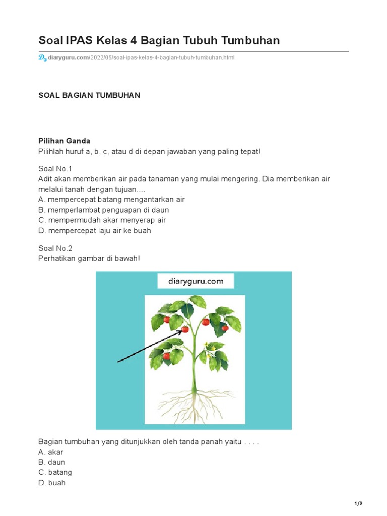 Soal IPAS Kelas 4: Bagian Tumbuhan | PDF