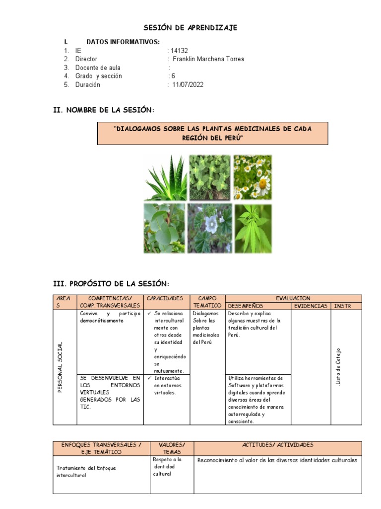 Sesion Planta Medicinales | PDF | Evaluación | Aprendizaje