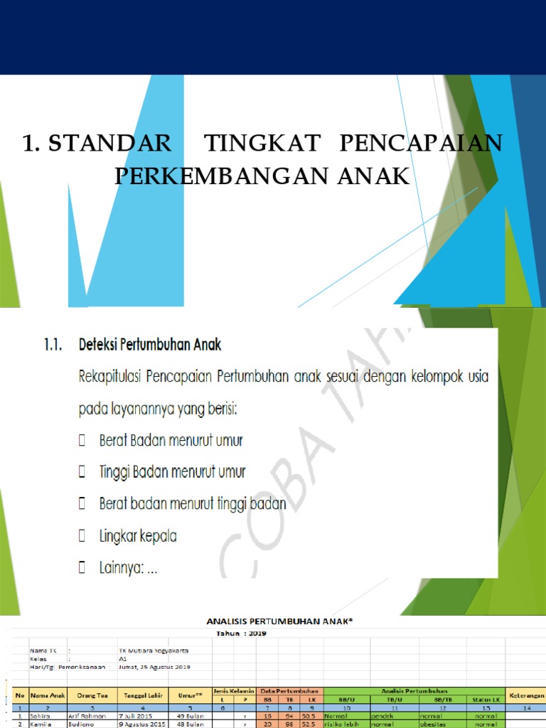 8 Standar Pendidikan PAUD di Indonesia | PDF | Bisnis